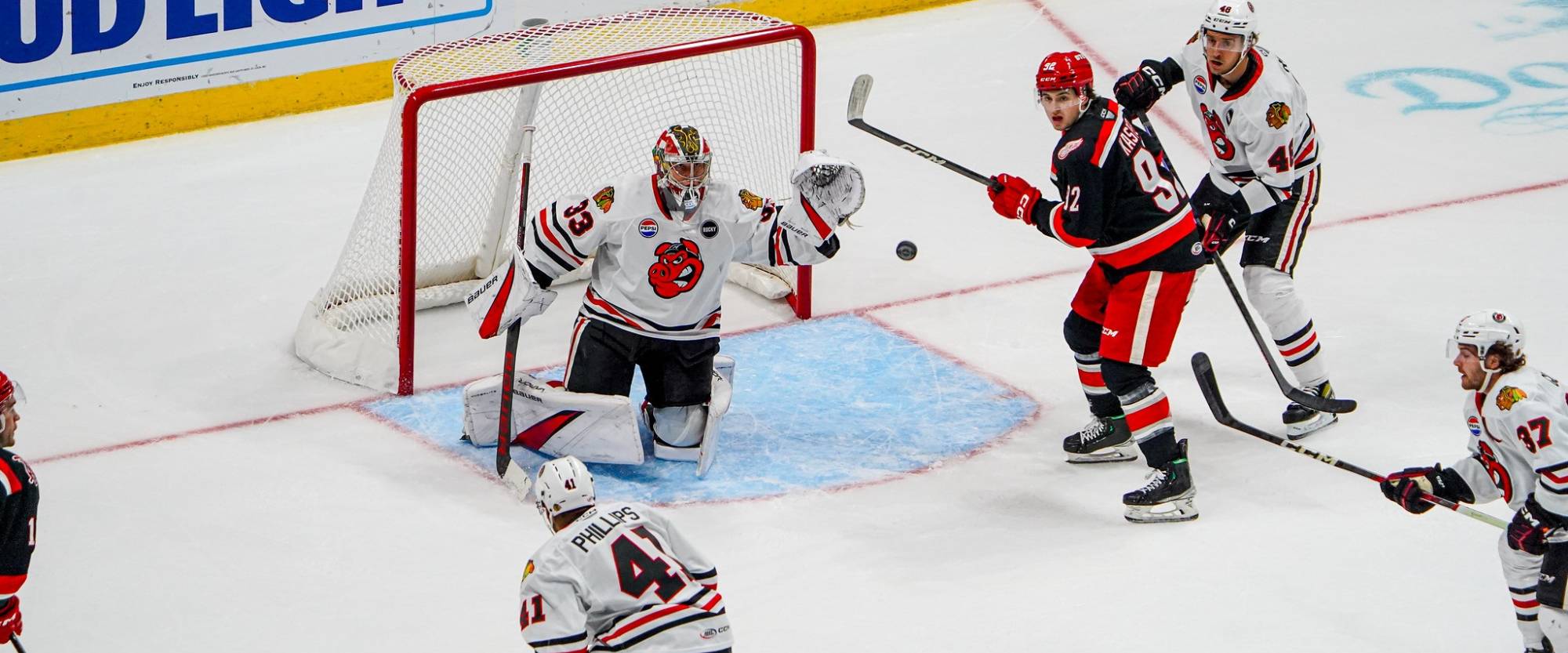 Grand Rapids Griffins | Puck Hogs