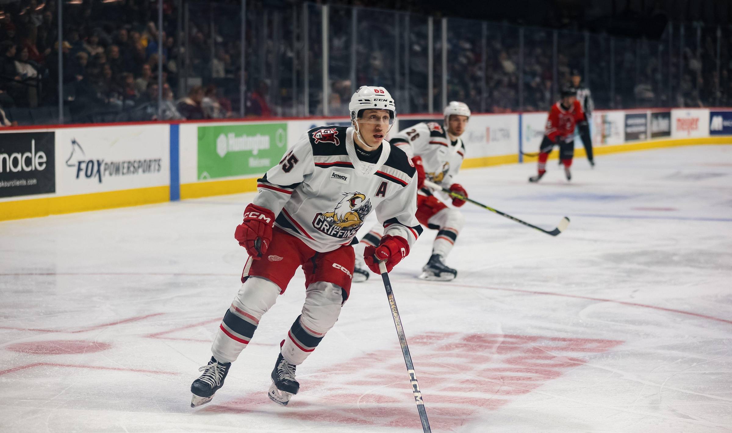 Grand Rapids Griffins | Dominik Shine