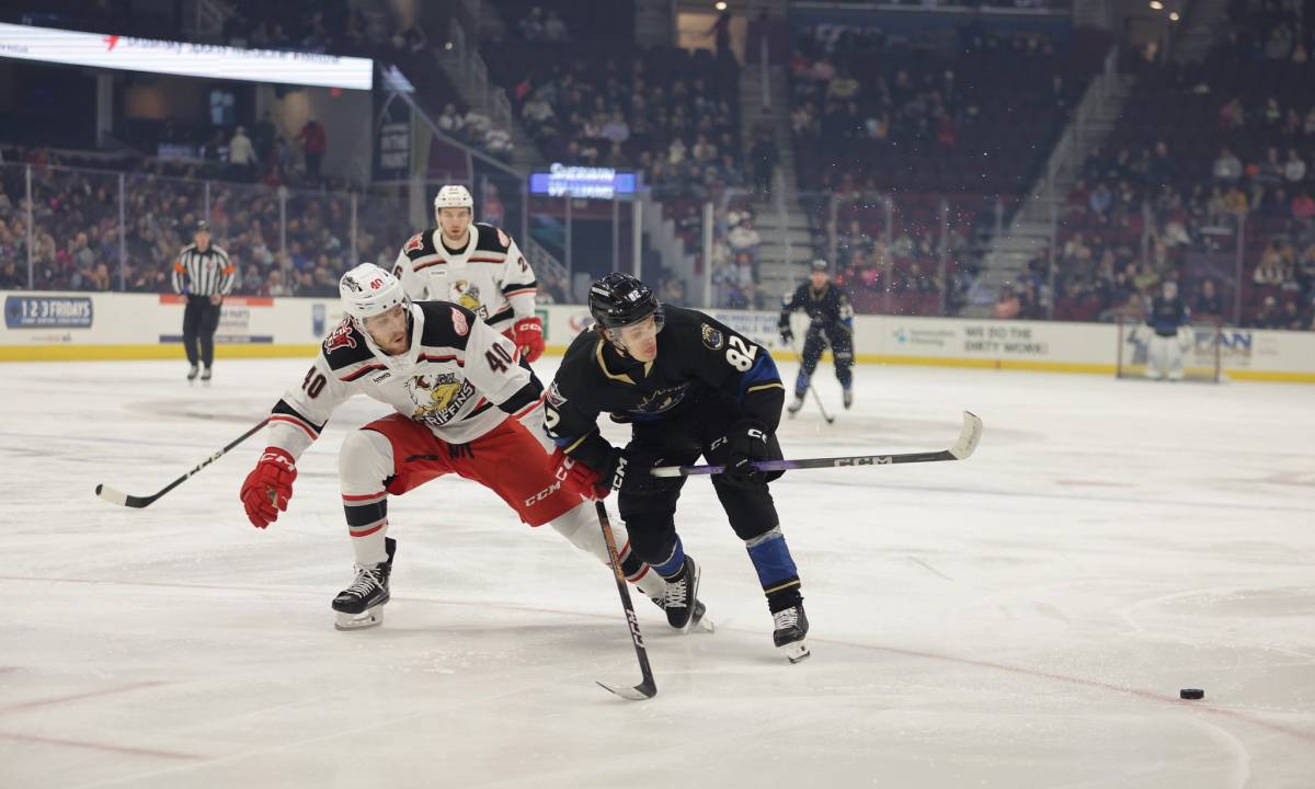 Grand Rapids Griffins | Griffins Hockey News
