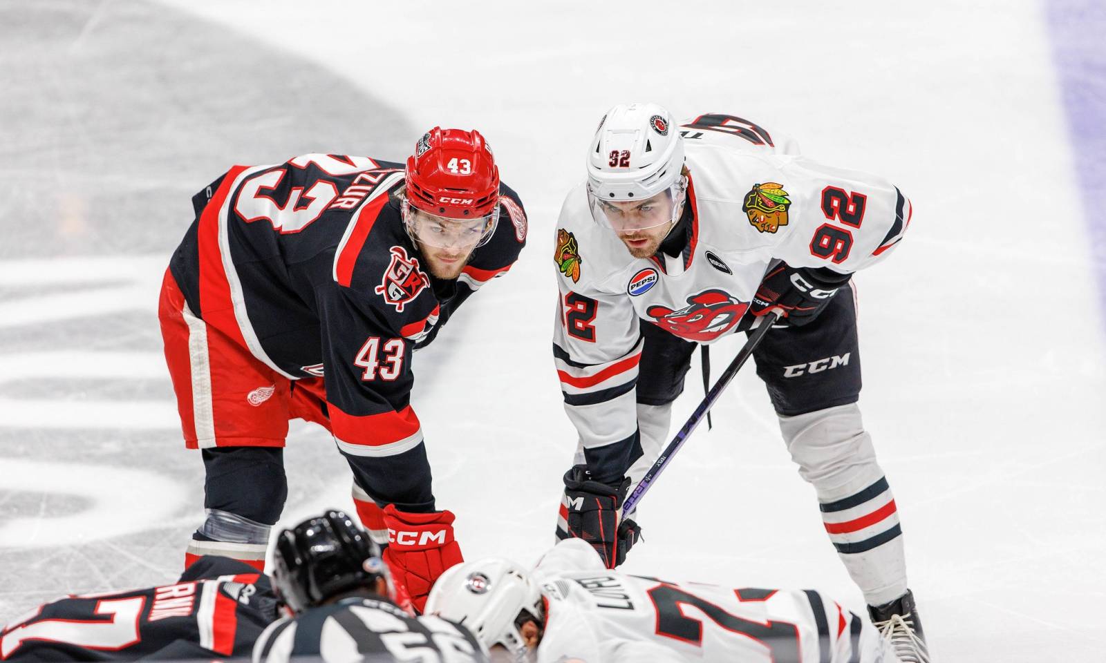 Grand Rapids Griffins | Griffins Hockey News