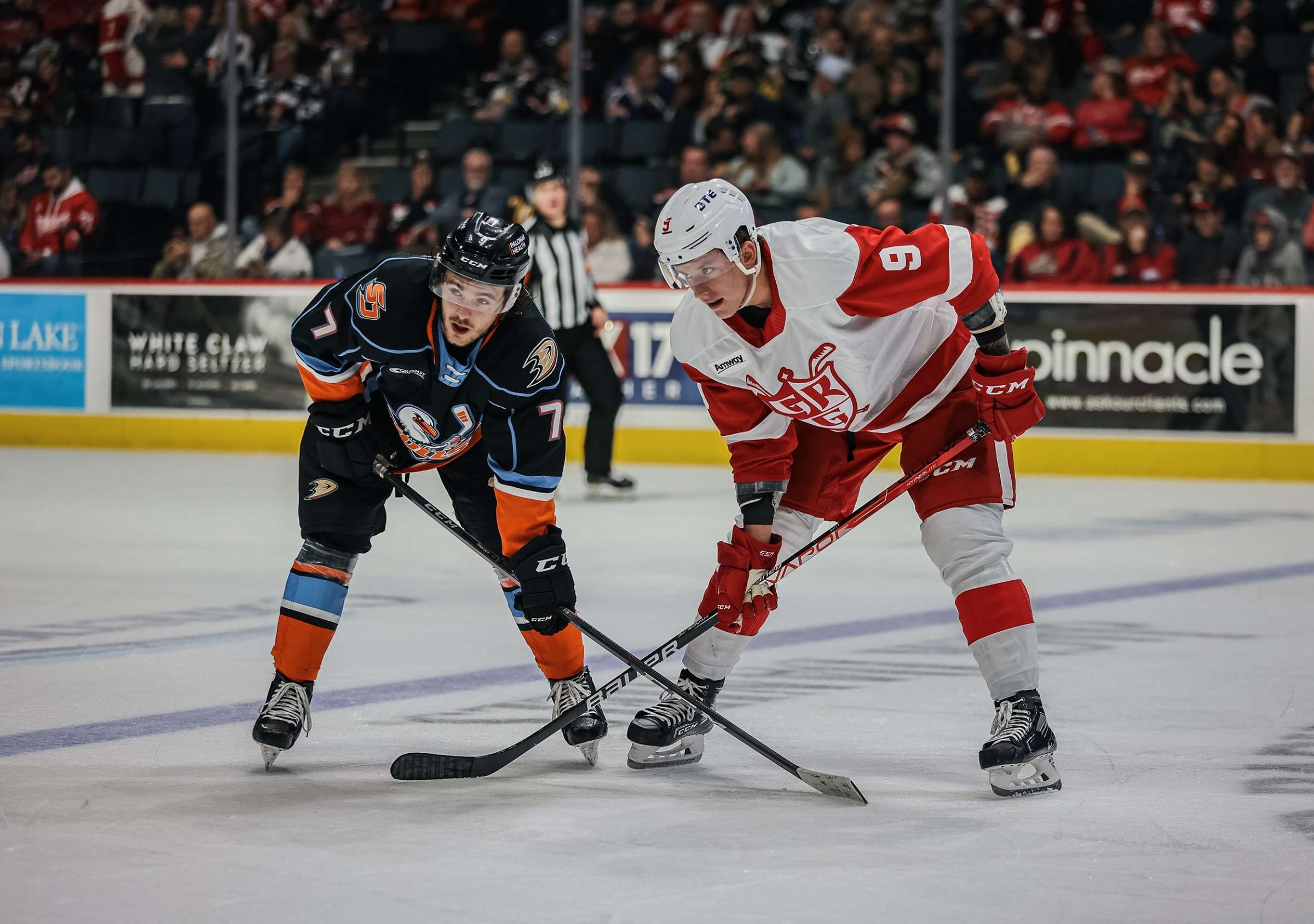 Grand Rapids Griffins | 2022-23 Player in Review: Matt Luff
