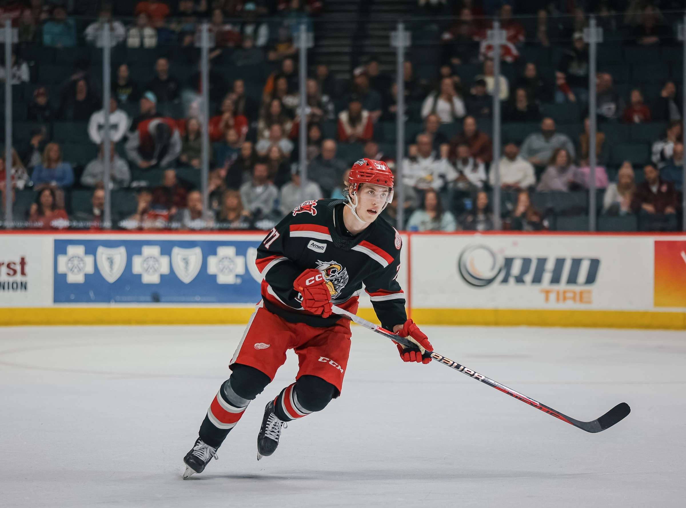 Grand Rapids Griffins | 2022-23 Player in Review: Simon Edvinsson
