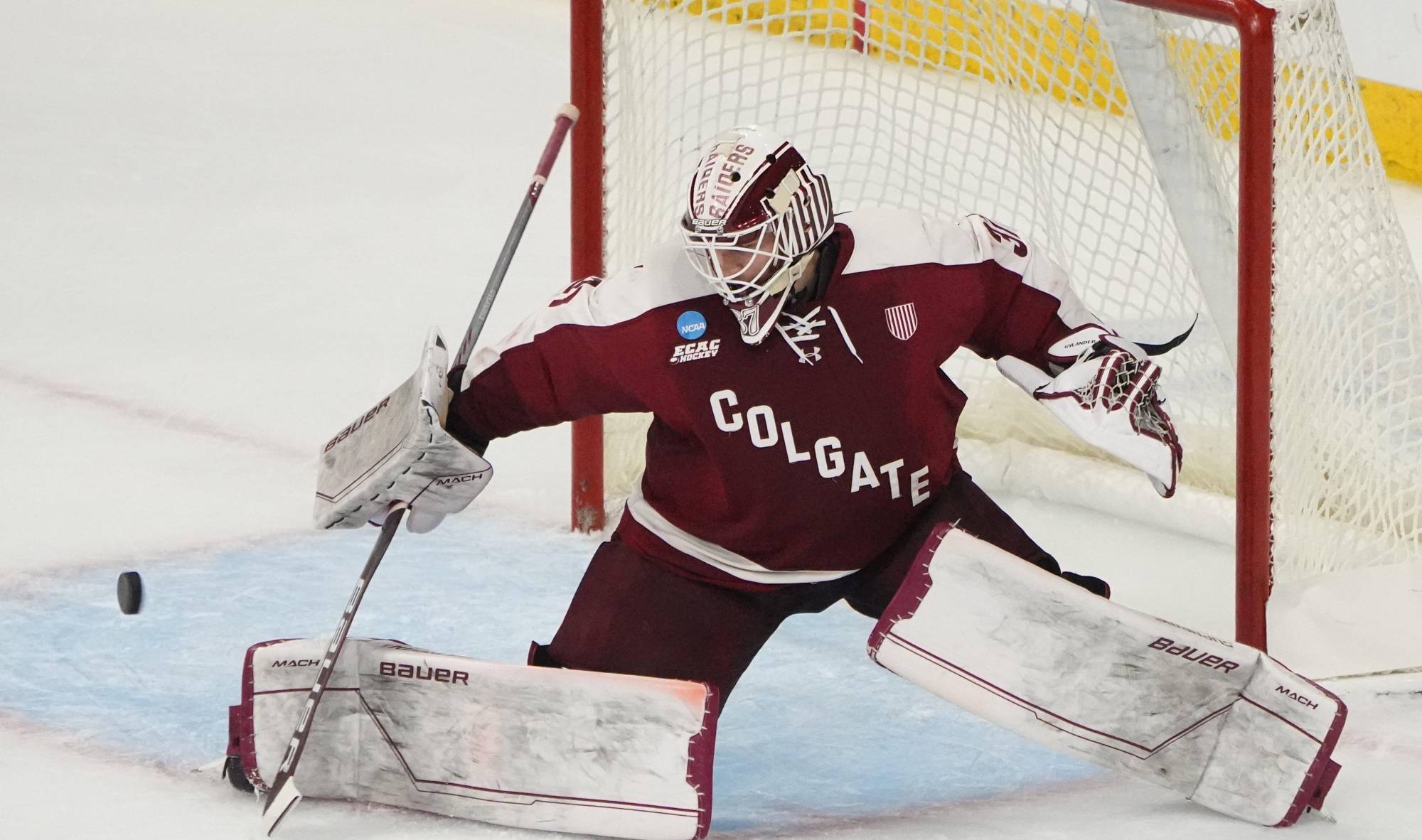 Grand Rapids Griffins | Carter Gylander