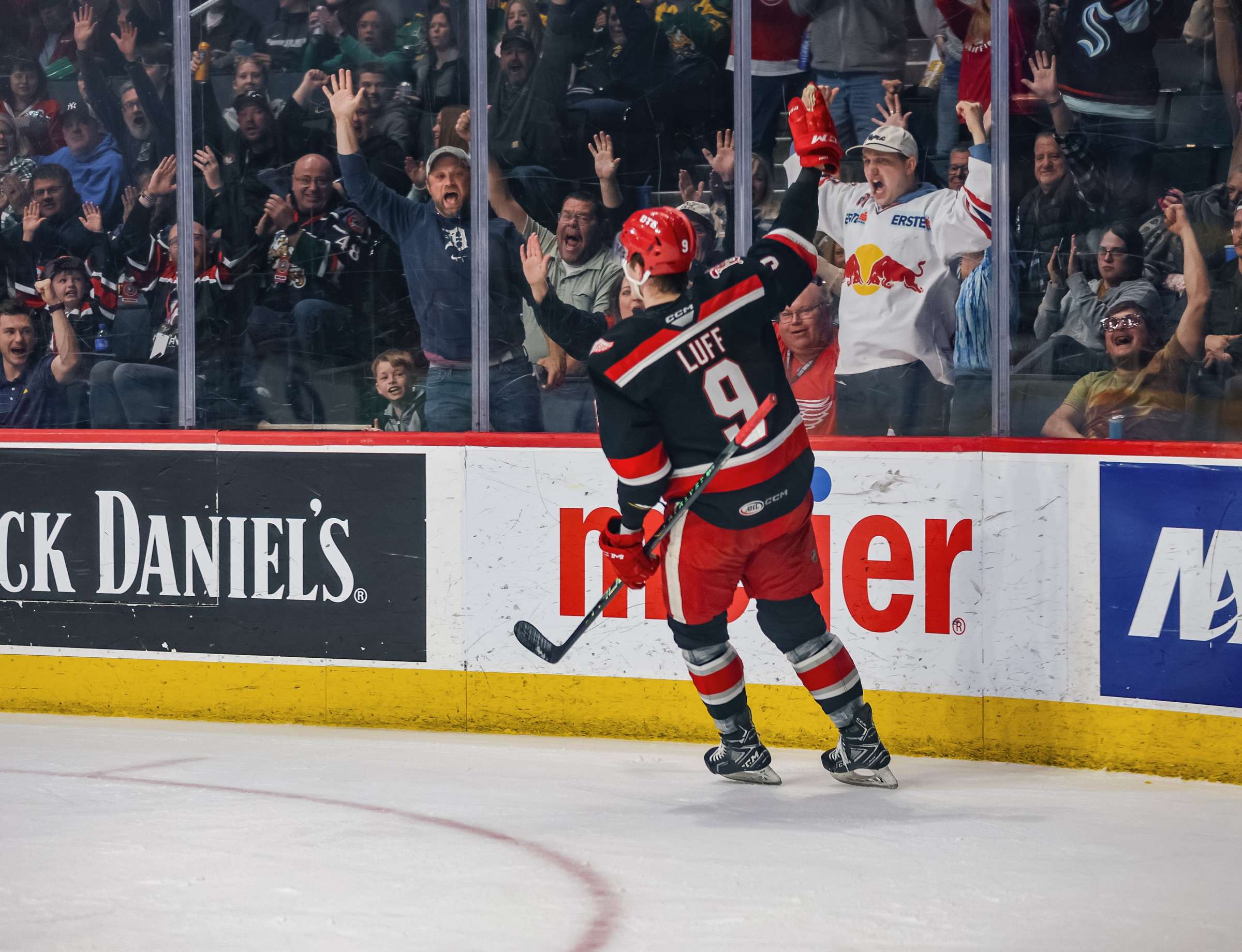Grand Rapids Griffins | 2023-24 Player in Review: Matt Luff