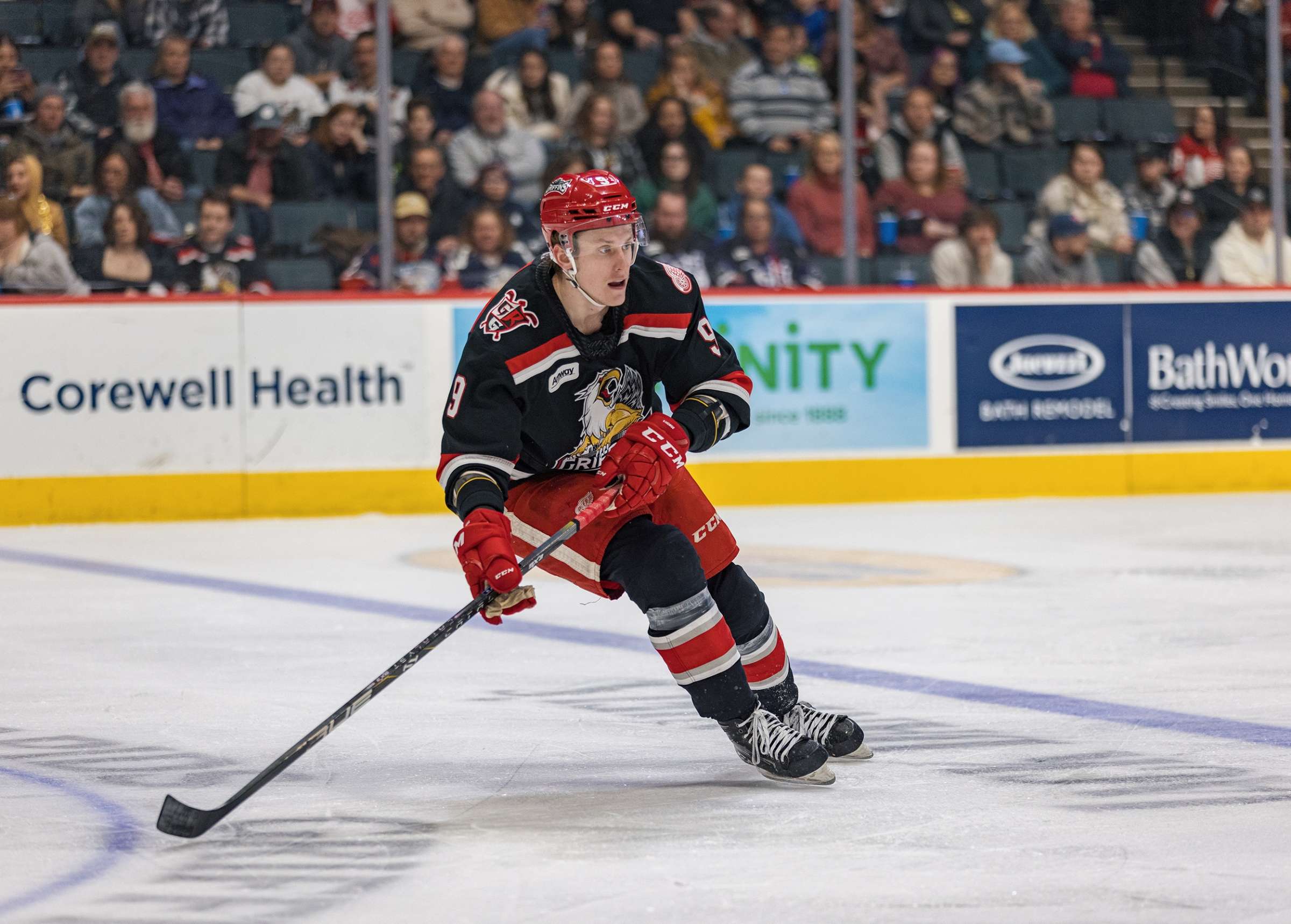 Grand Rapids Griffins | 2023-24 Player in Review: Matt Luff