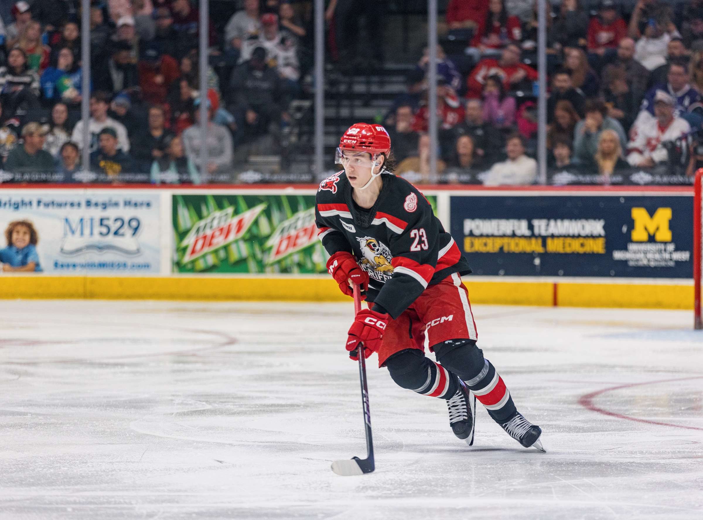 Grand Rapids Griffins | 2023-24 Player in Review: Albert Johansson