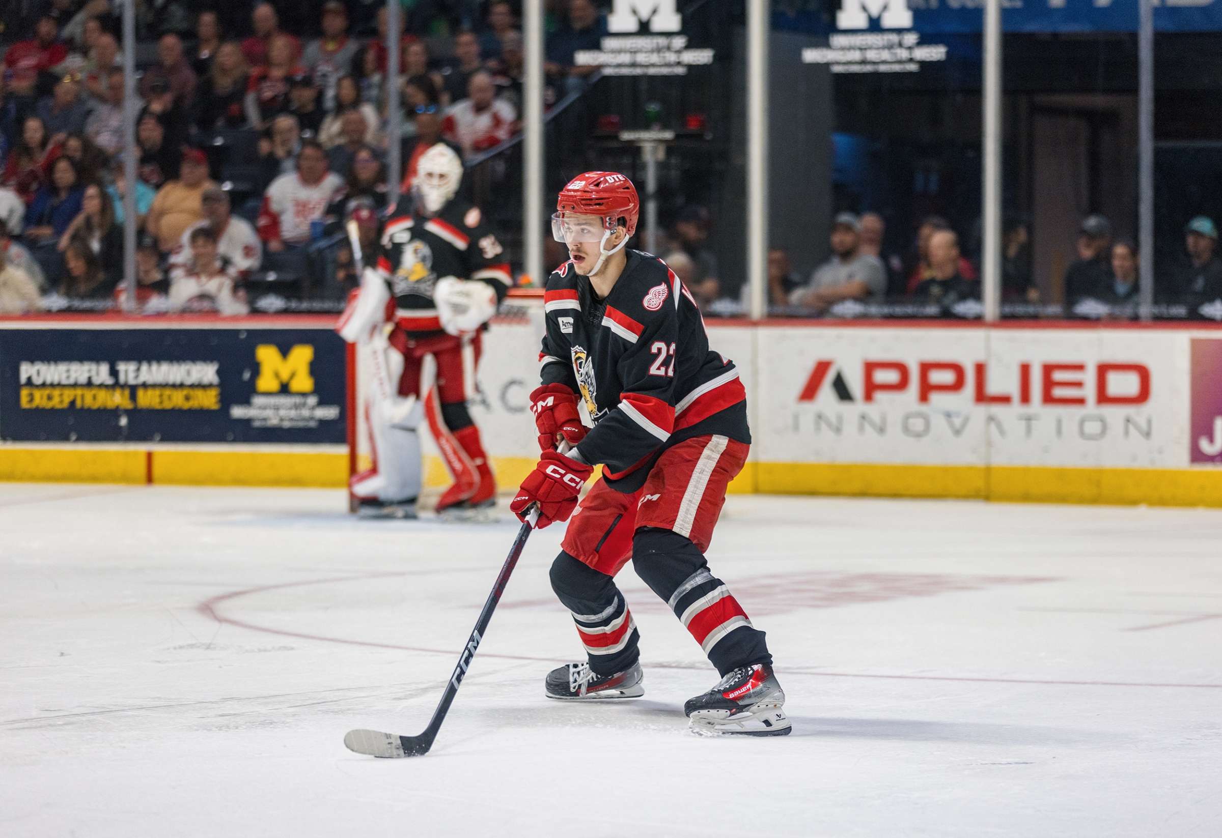 Grand Rapids Griffins | 2023-24 Player in Review: William Wallinder