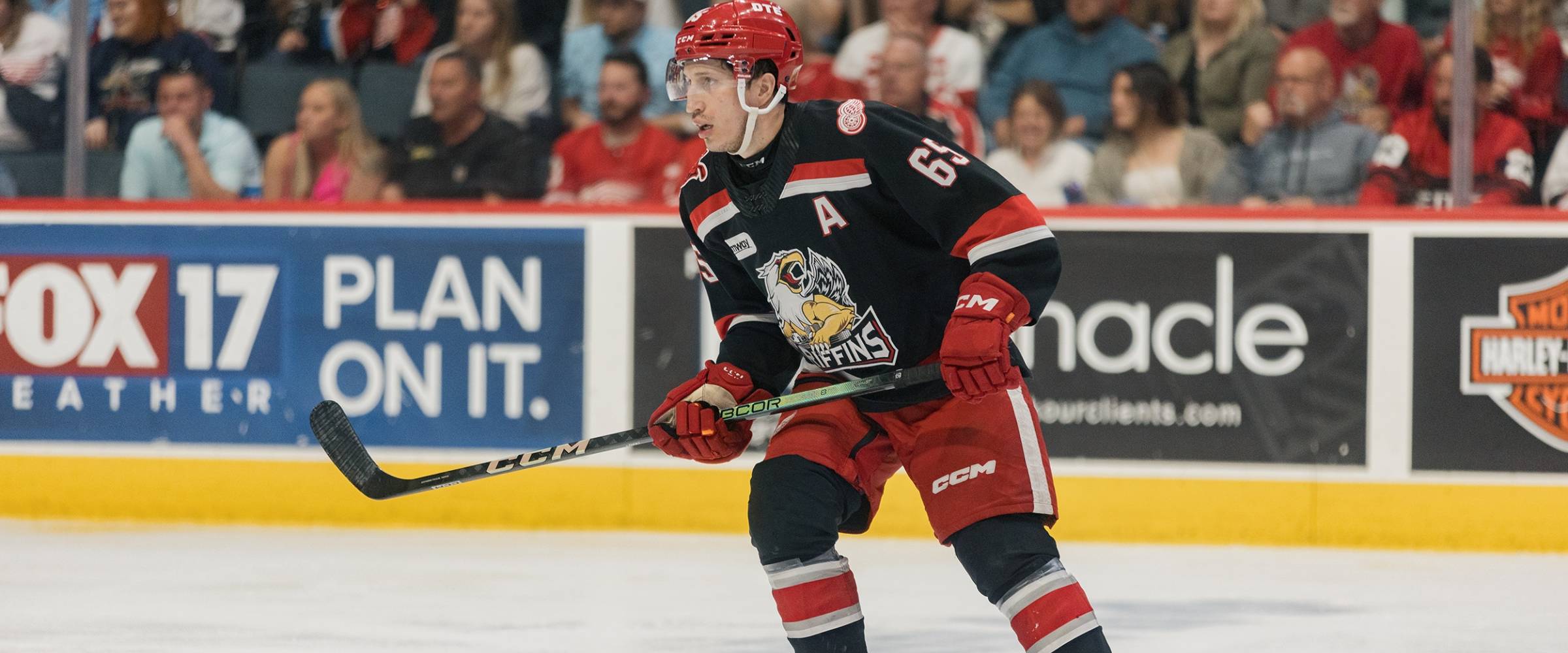 Grand Rapids Griffins | 2023-24 Player in Review: Dominik Shine