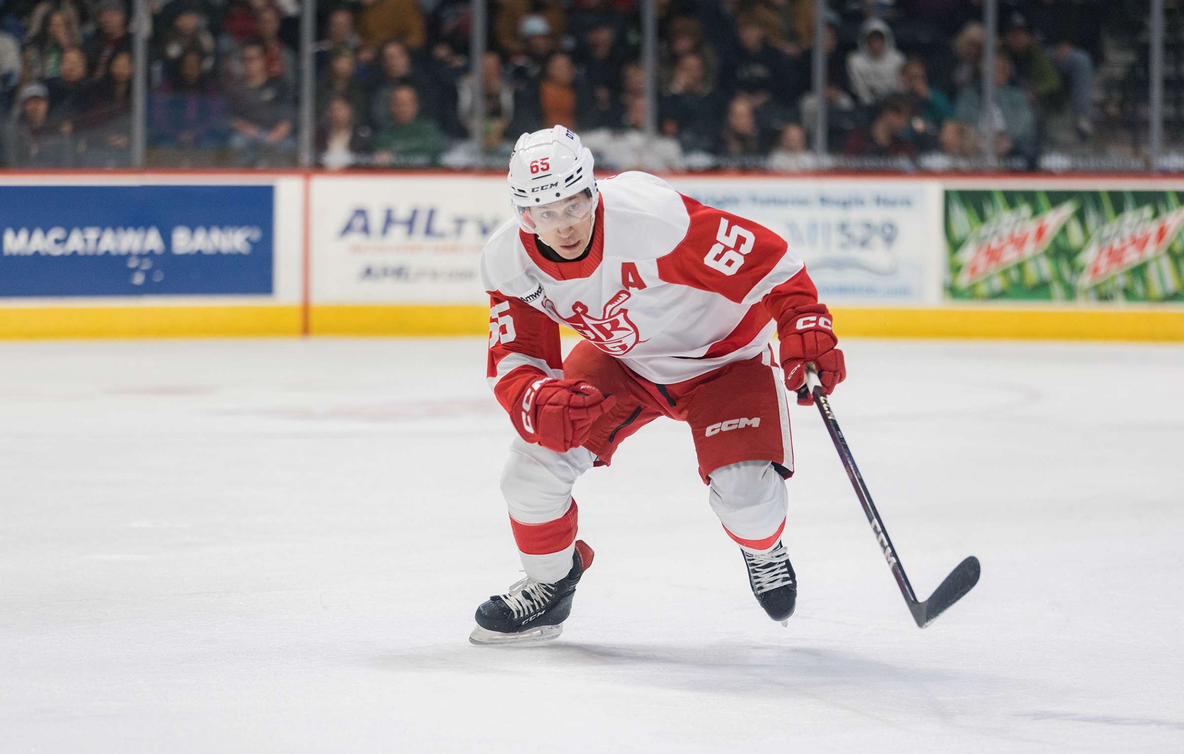 Grand Rapids Griffins | 2023-24 Player in Review: Dominik Shine