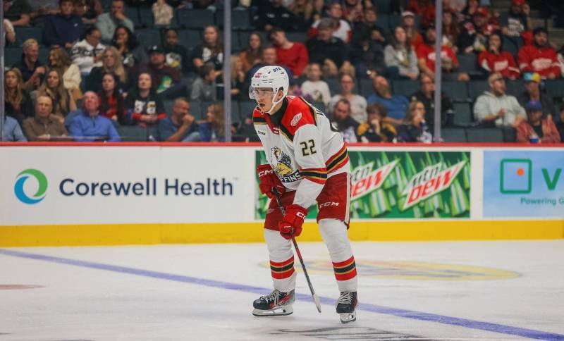 Grand Rapids Griffins | William Wallinder
