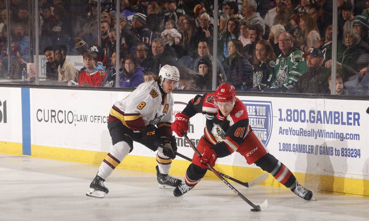 Grand Rapids Griffins | Griffins Hockey News