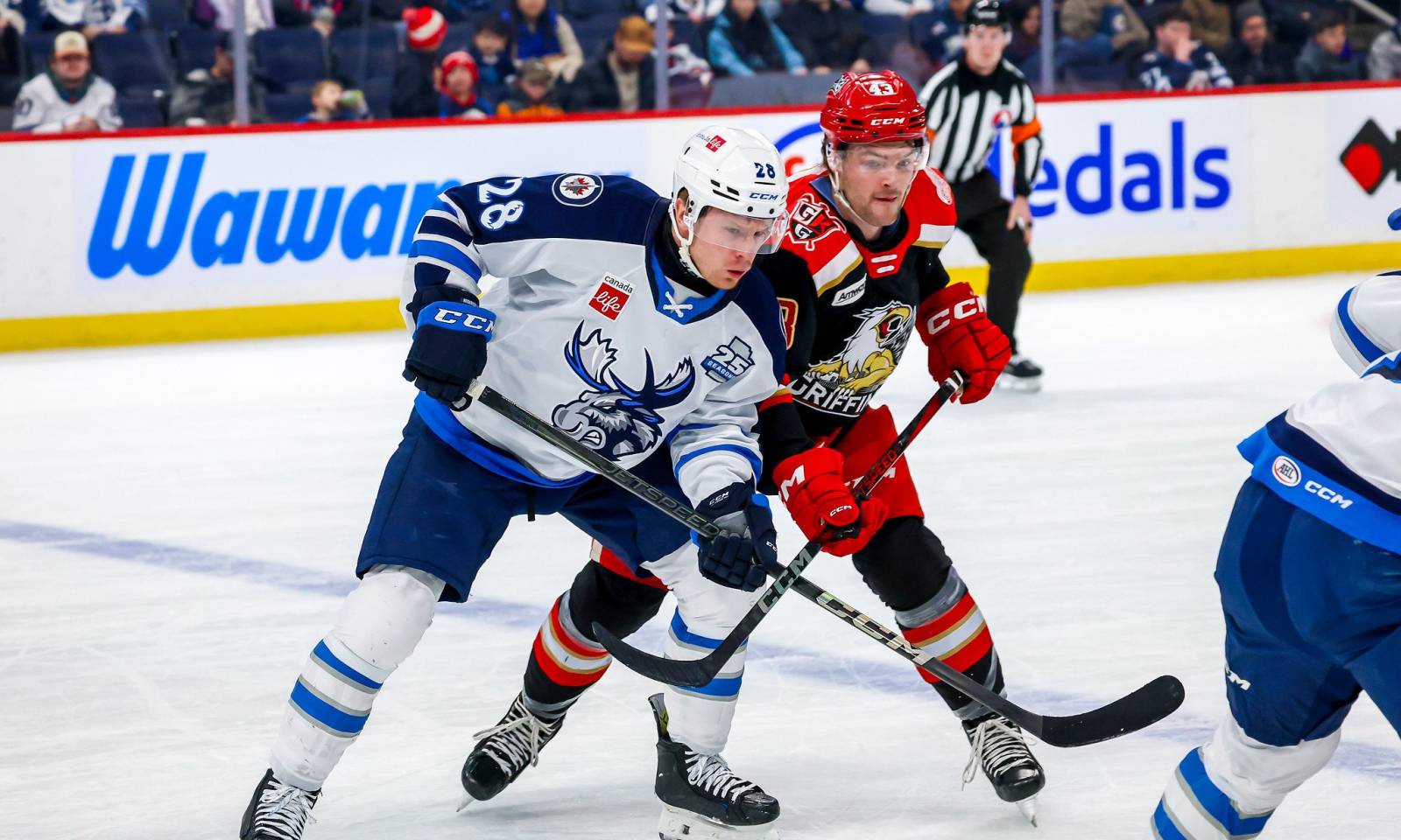 Grand Rapids Griffins | Griffins Hockey News