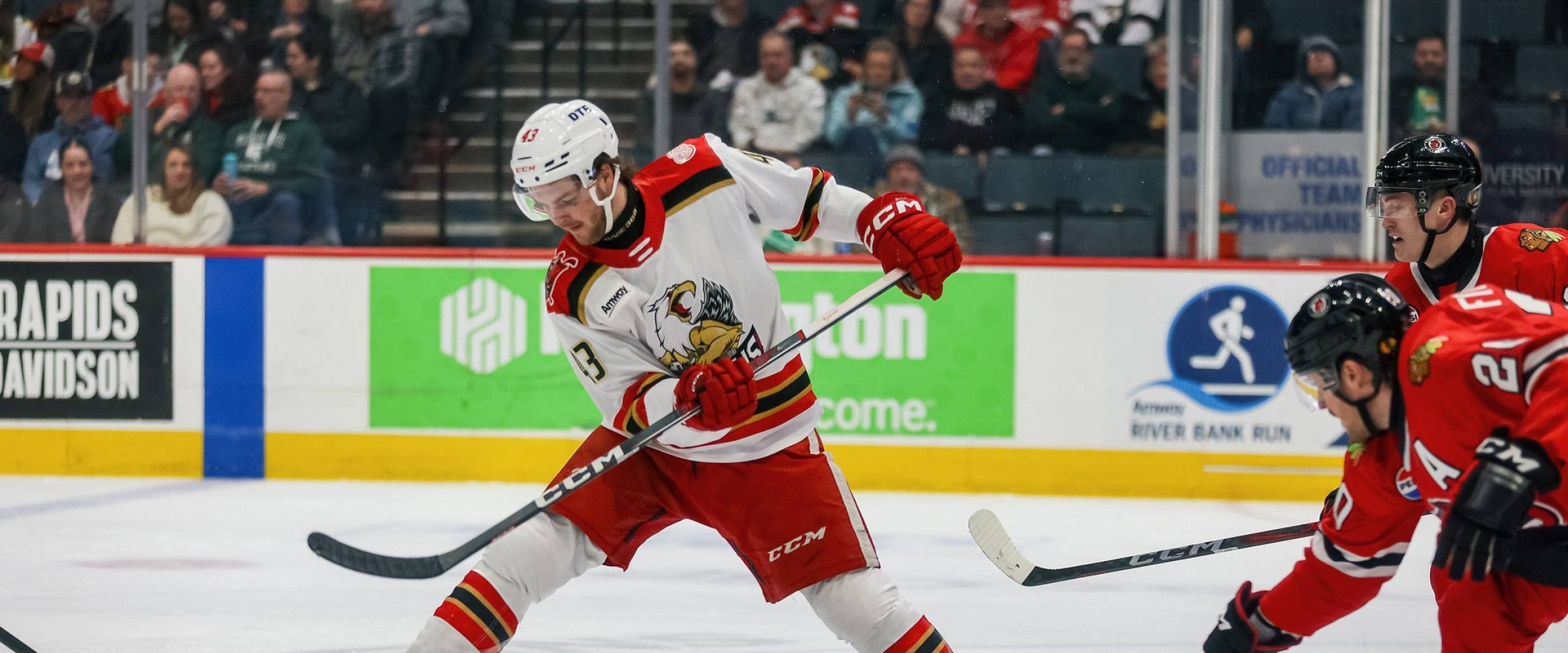 Grand Rapids Griffins | Four for Four