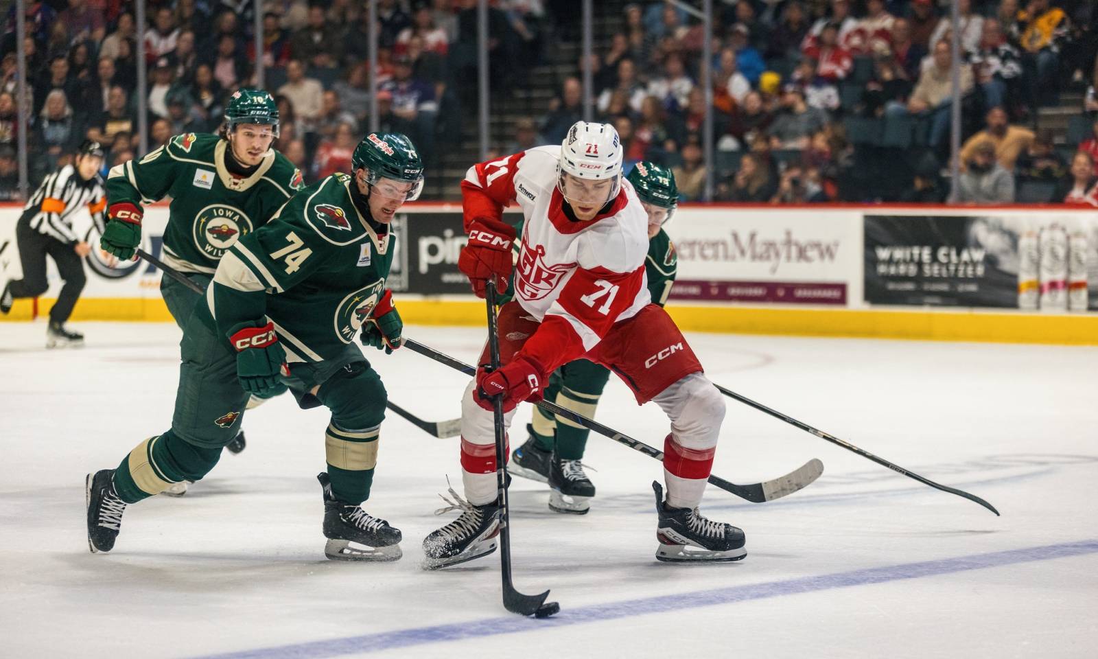 Grand Rapids Griffins | Griffins Hockey News