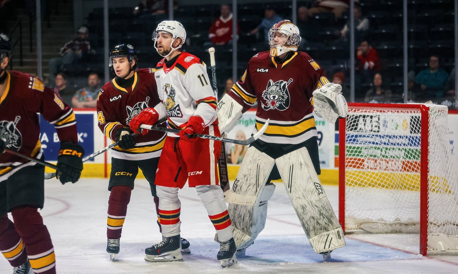 Grand Rapids Griffins | Griffins Hockey News
