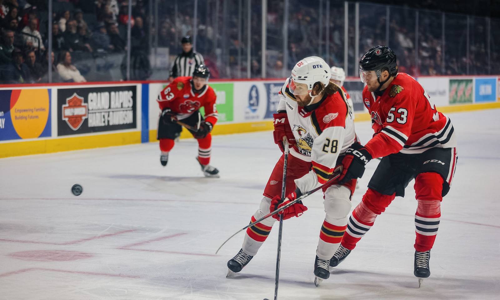 Grand Rapids Griffins | Griffins Hockey News